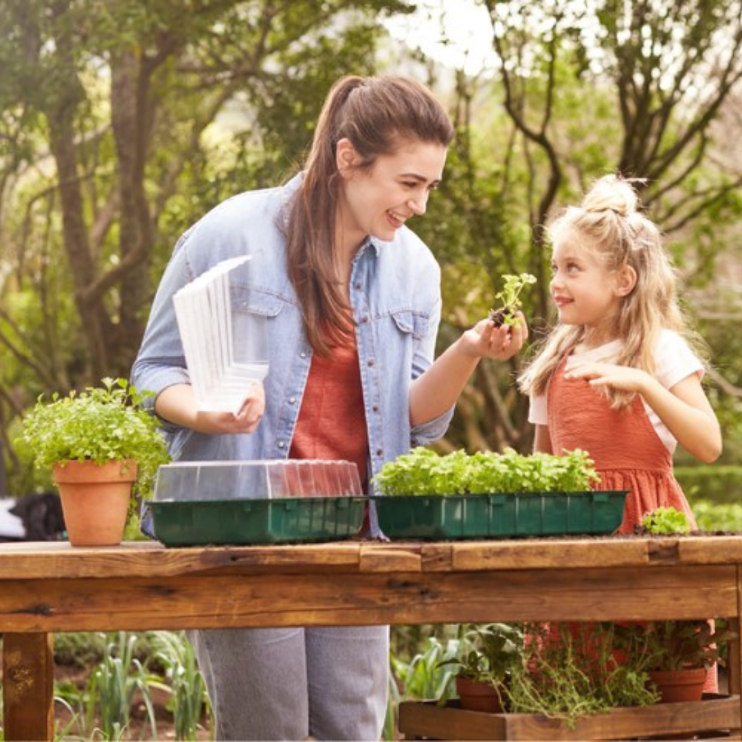 LIDL’S BIG GARDEN EVENT - Westend Shopping